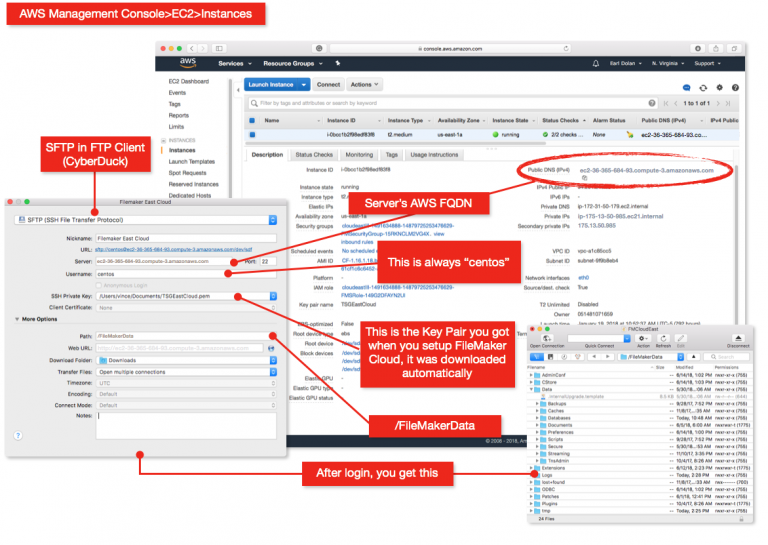 FileMaker Cloud Access Cheat Sheet - FileMakerProGurus